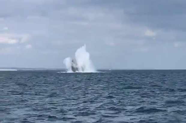 Underwater bomb disposal – Marine Development Blog