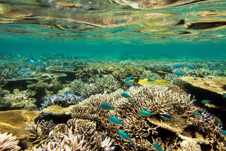 March 2018 – Marine Development Blog