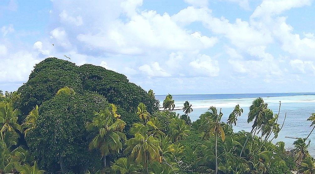 Developing a conservation plan for the British Indian Ocean Territory ...