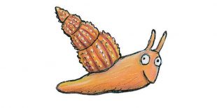 A coastal adventure with The Snail and the Whale – Marine Development Blog