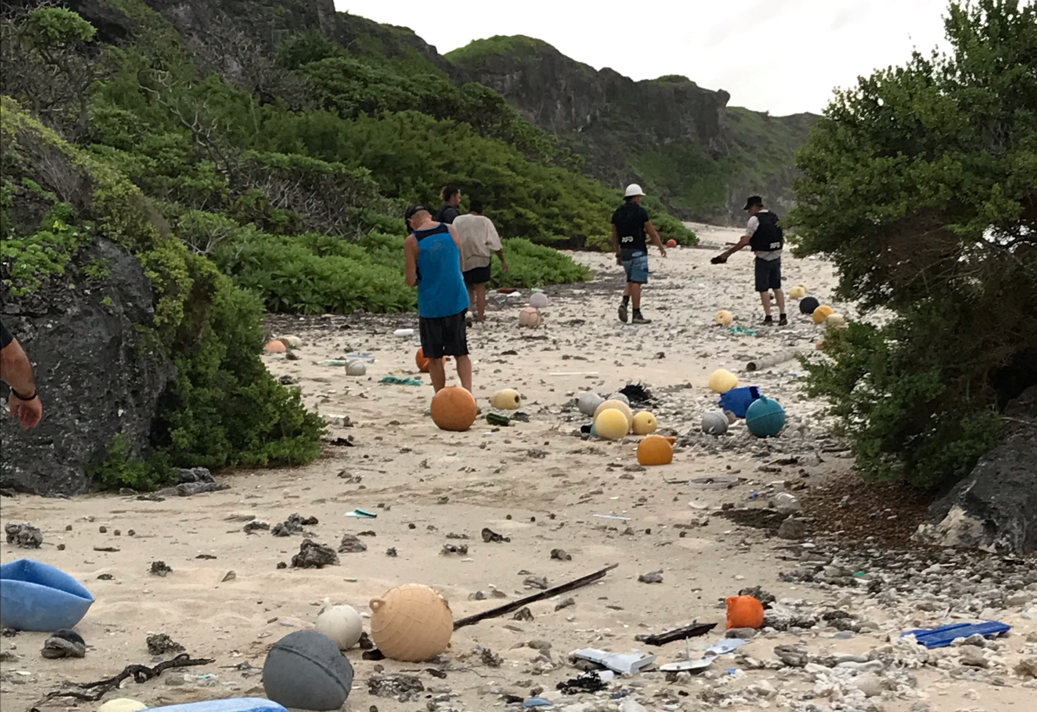 Henderson Island Expedition – Marine Development Blog