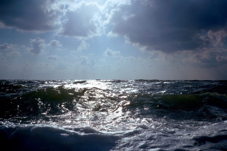 November 2020 – Marine Development Blog
