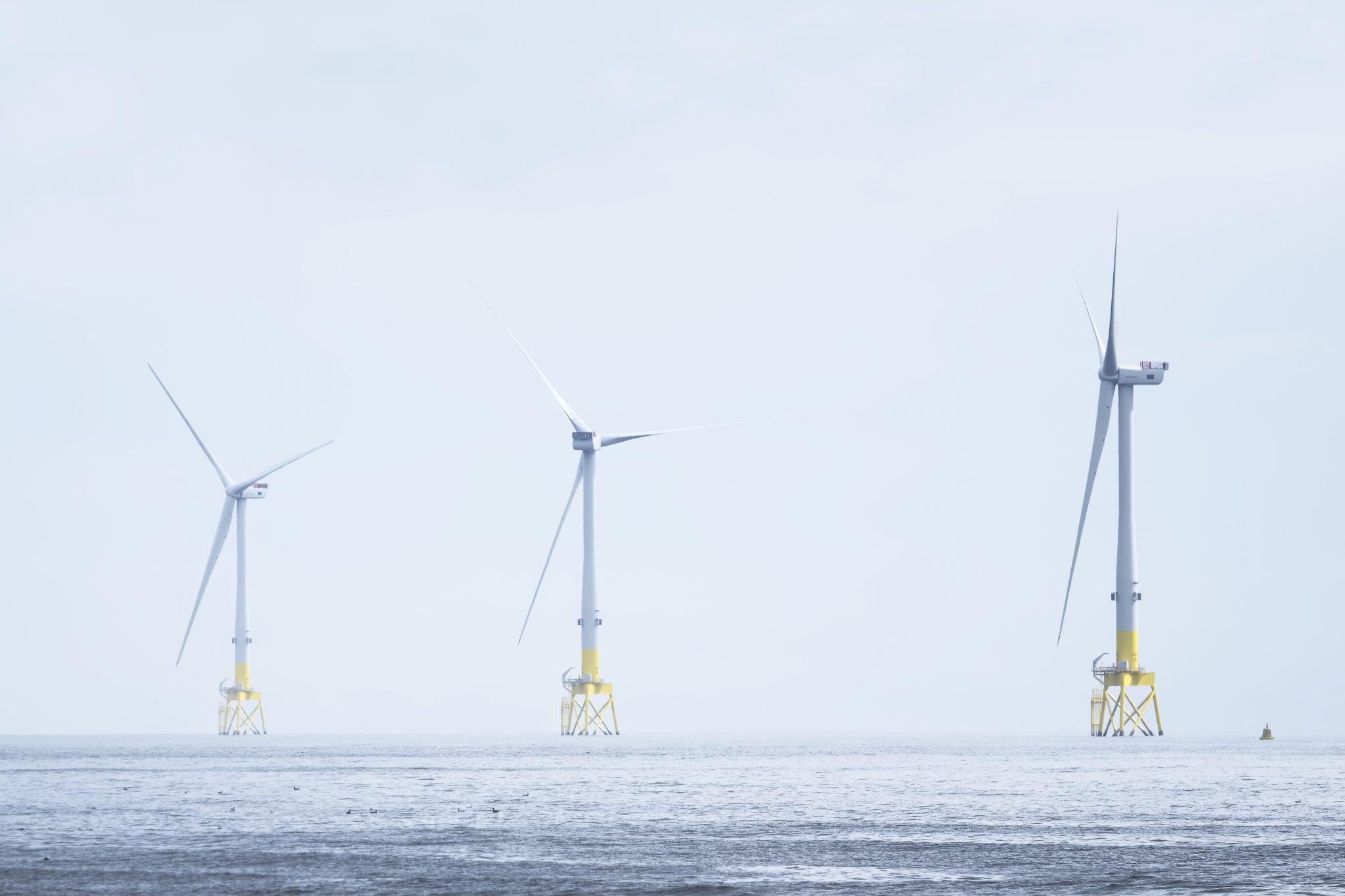 MMO working collaboratively on offshore wind projects – Marine ...