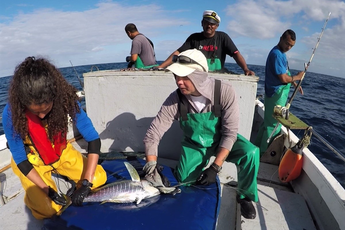 Spotlight on: St Helena – Marine Development Blog