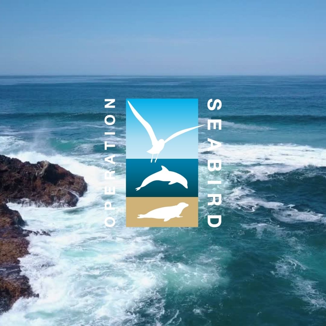 Spotlight On: Operation Seabird – Marine Development Blog