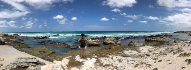 Integrated Marine Management – Working with People for Nature – Marine ...