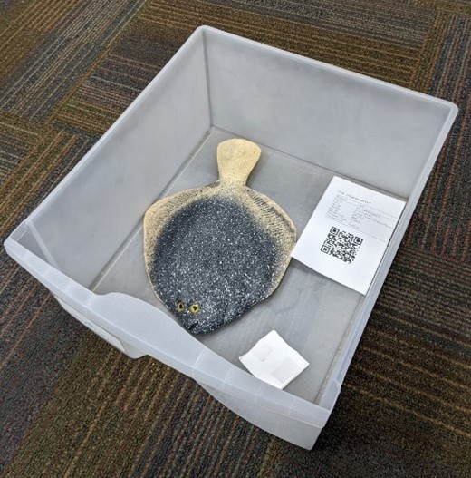 Fish traceability technology examined – Marine Development Blog