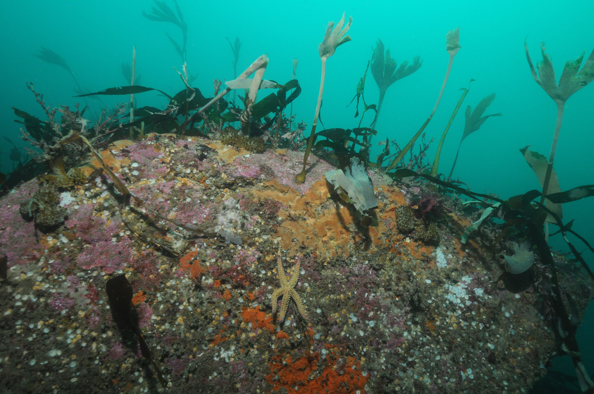Protecting our marine environment – MPA consultation – Marine ...