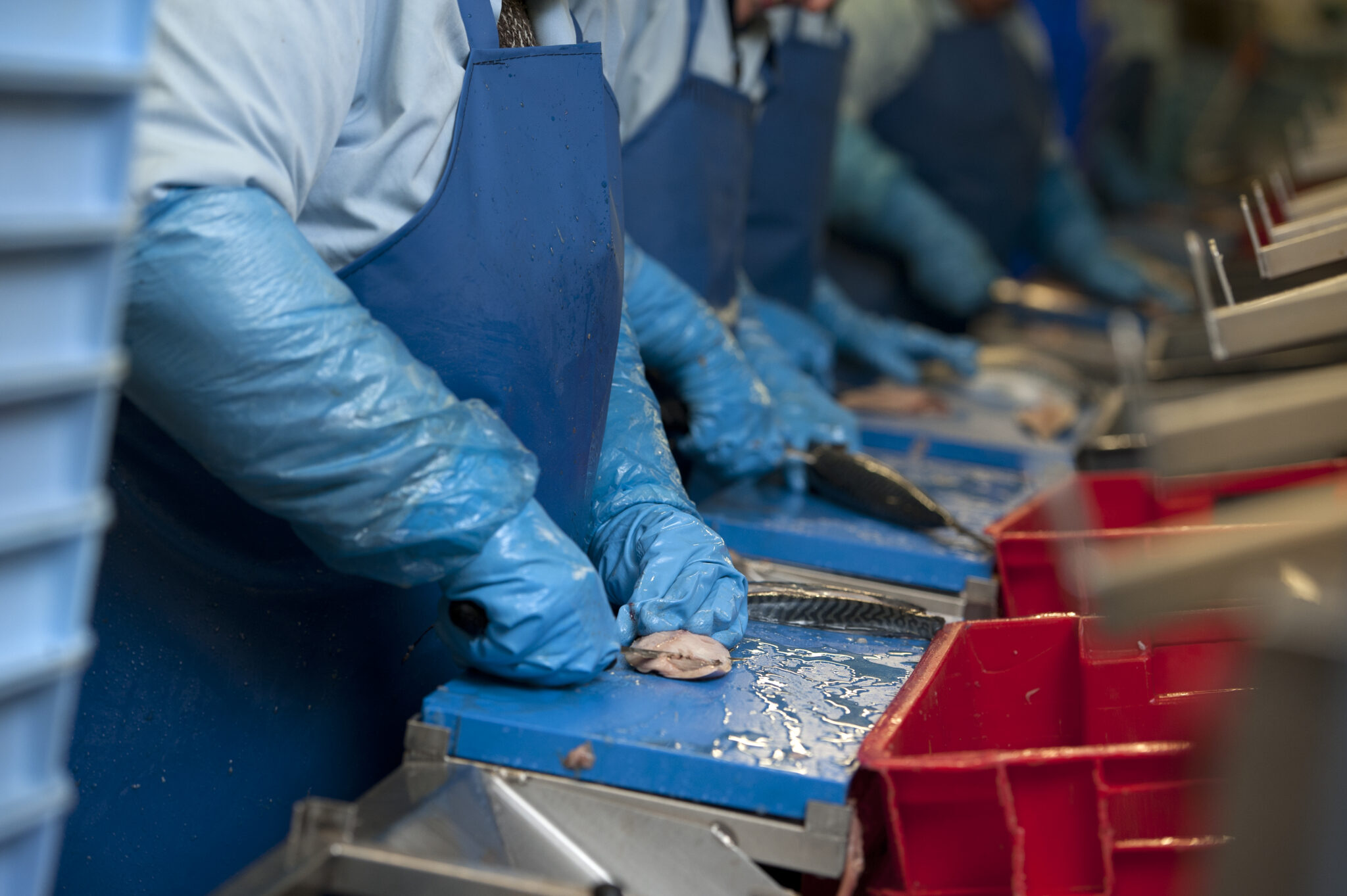 Fish, Trace, Ship: Why processing statements will soon matter to you ...