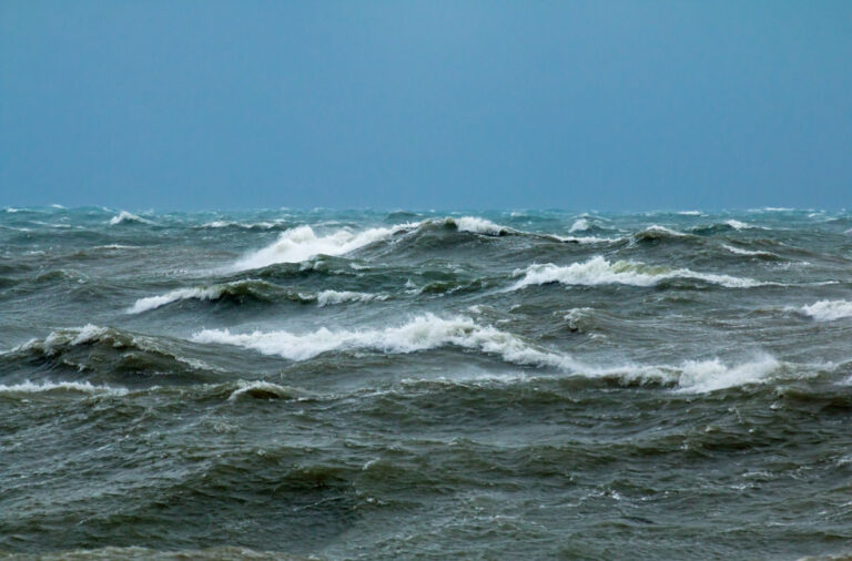 Publication of evidence reports – Marine Development Blog